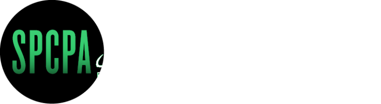 About SPCPA - Saint Paul Conservatory for Performing Artists - SPCPA